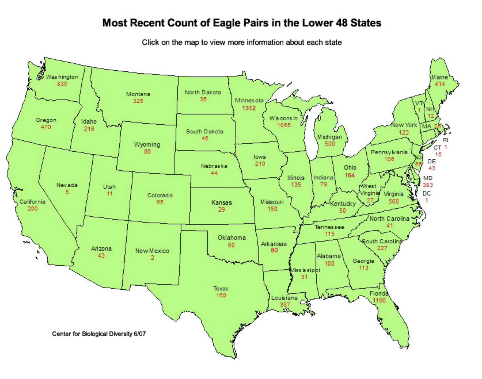 Bald Eagles in Florida – Bald Eagles Florida